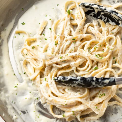 Homemade fettuccine sauce store