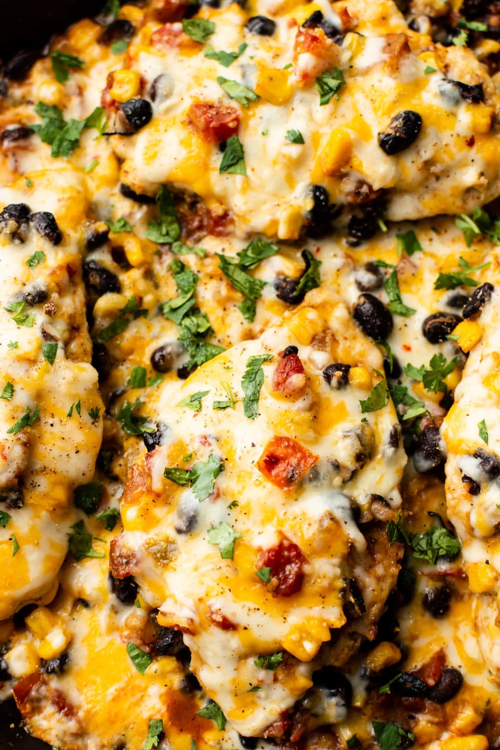 Santa Fe Chicken Skillet • Salt & Lavender