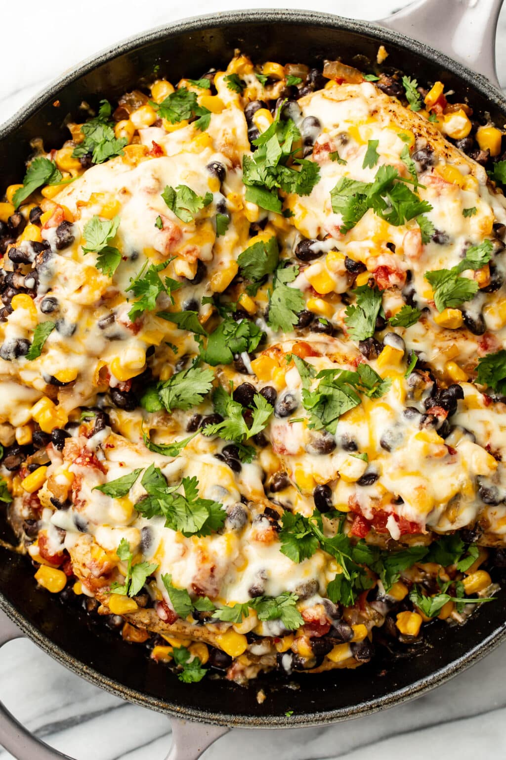Santa Fe Chicken Skillet • Salt & Lavender